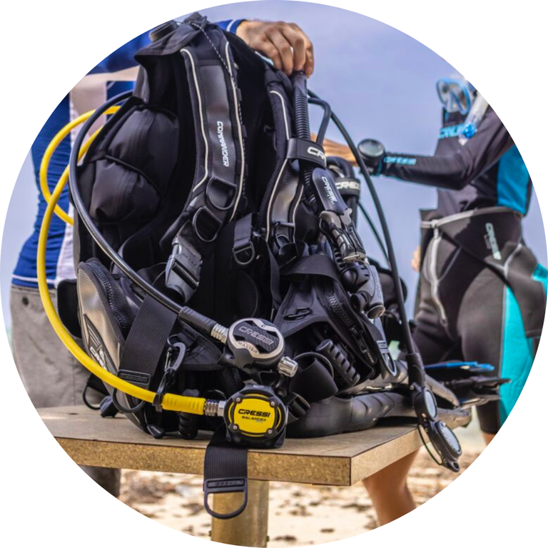 Cressi Diving Gear Canada | Scuba, Freediving & Spearfishing